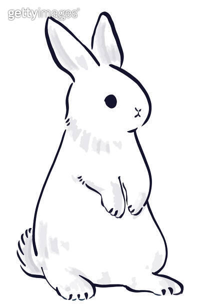 hand drawn vector illustrations of bunny.Rabbit of Ink painting.Line ...