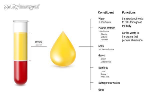Composition and function of plasma diagram. Test tubes and layers of ...