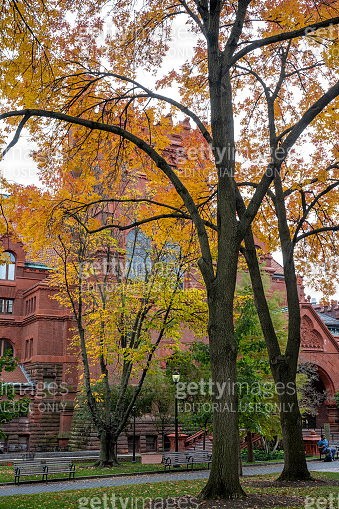 UPenn Campus in Autumn (1835576876) - 게티이미지뱅크