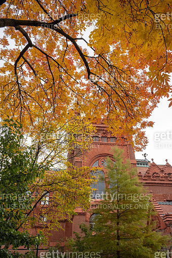UPenn Campus in Autumn 이미지 (1835577411) - 게티이미지뱅크