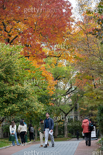 UPenn Campus in Autumn 이미지 (1835577938) - 게티이미지뱅크