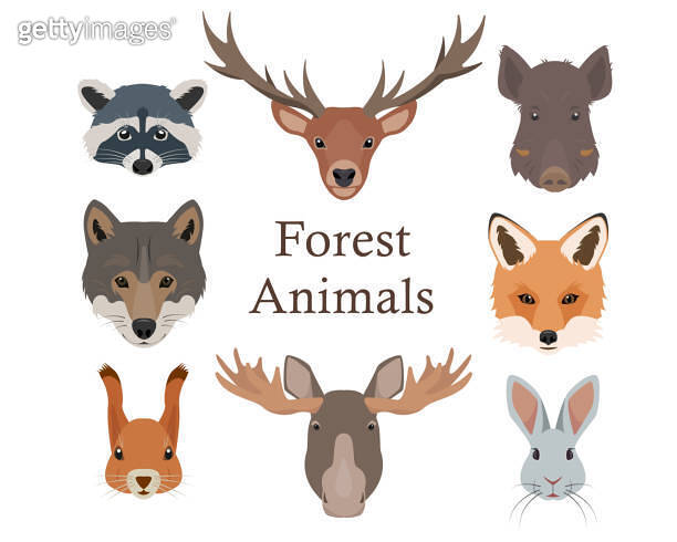 Forest animals faces set. Wild woodland mammal animal heads collection ...