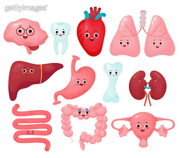 Collection cute human cartoon organs. Funny characters organs isolated ...