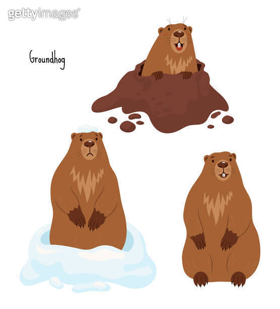 Collection Groundhogs. Rodent animal sad in snow, marmot stands and ...