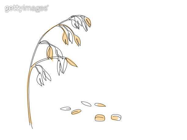 Single continuous line drawing of oat grain ear with color shapes. One ...