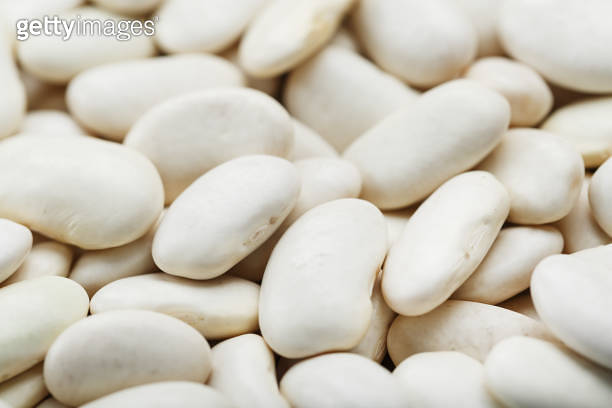 White bean beans close-up in full screen. (1807888132) - 게티이미지뱅크