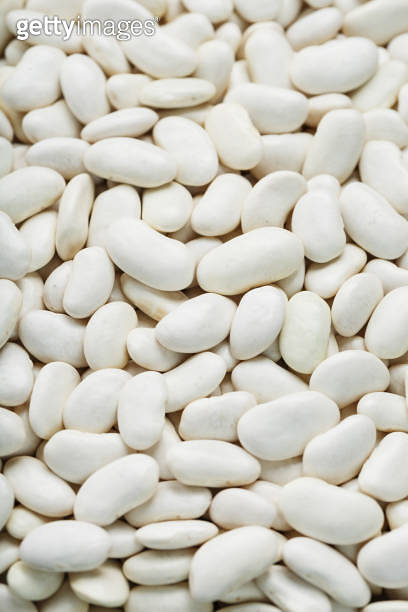 White beans are beans with a full-screen texture. (1807889292) - 게티이미지뱅크