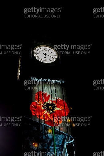 Elizabeth tower with poppy projection 이미지 (1457713008) - 게티이미지뱅크