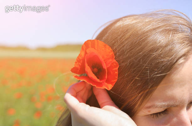 Girl is putting red poppy flower in her hair. Sunny day walk in the ...