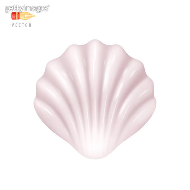 Cute Seashell. Funny Sea Animal. Colorful Tropical Conch Icon. Cartoon ...