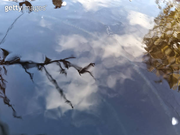 Reflection in icy water. Optical distortion of trees and blue sky with ...