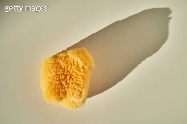 Natural sea sponge for face and body in the sun. (1782164785) - 게티이미지뱅크