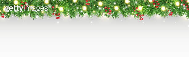 Green fir branches with glitter light, golden stars and red berries ...