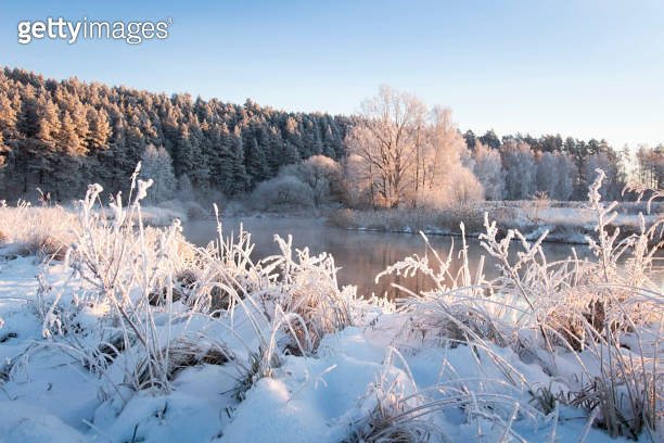 First month of spring, march. Beautiful landscape of nature in early ...