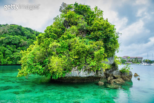 Palau Rock Islands Tree Covered 이미지 (1493538928) - 게티이미지뱅크