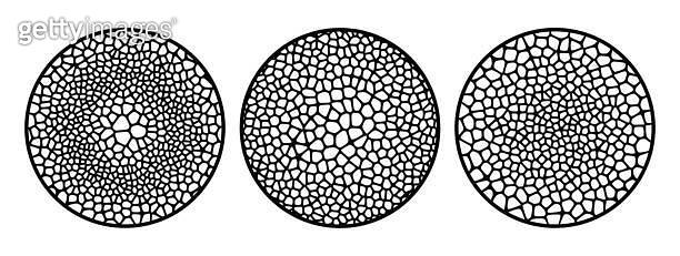 Organic cells radial pattern set. Vector grid mesh elements for design ...