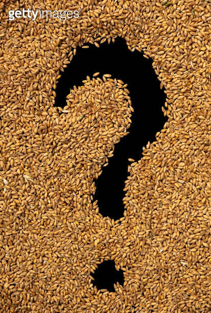 Title: Black question mark on the background of wheat grains. The ...