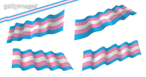 Transgender flag or trans banner with blue and pink strips vector ...