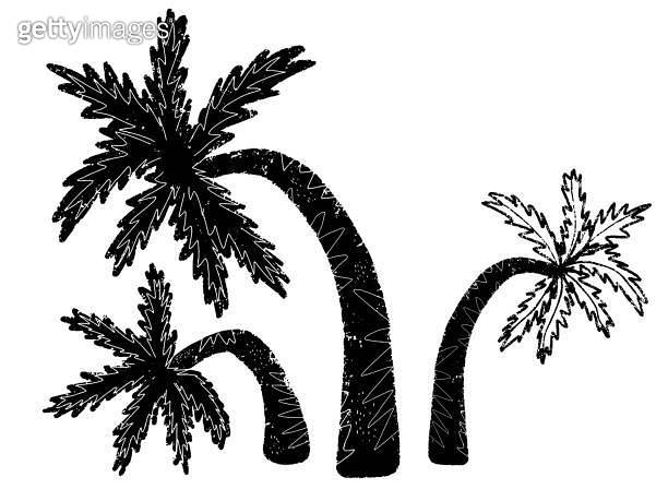 Palm tree stylized. Vector set. Hand-drawn illustration in linocut ...