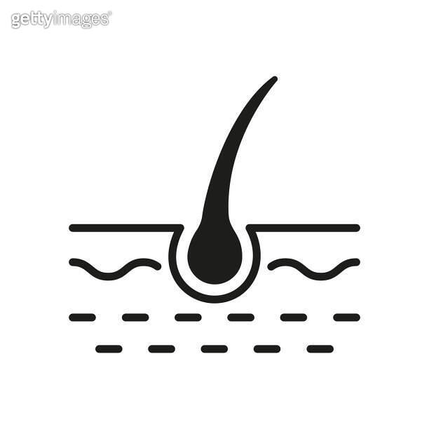 Hair Bulb Silhouette Icon. Structure of Man Follicle Black Glyph ...