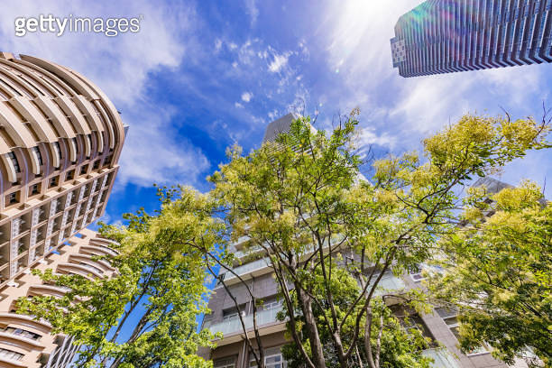 Tokyo buildings with beautiful sunlight 이미지 (1673210964) - 게티이미지뱅크