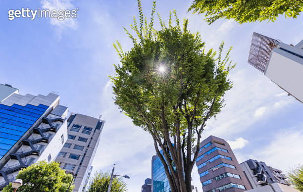 Tokyo buildings with beautiful sunlight 이미지 (1673211998) - 게티이미지뱅크