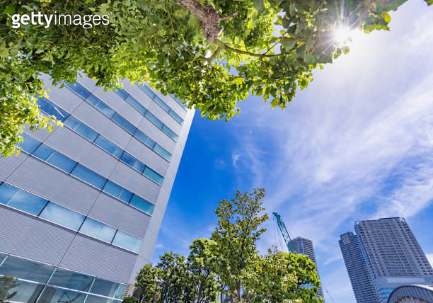 Tokyo buildings with beautiful sunlight 이미지 (1673215163) - 게티이미지뱅크