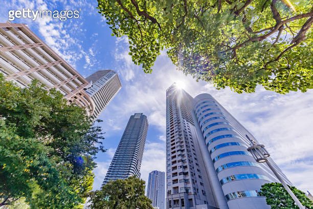 Tokyo buildings with beautiful sunlight 이미지 (1673218367) - 게티이미지뱅크