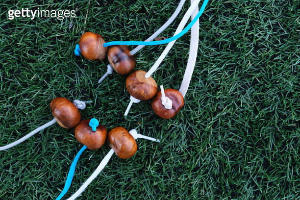 Conkers game. Conker threaded onto a piece of string on green ...