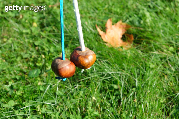 Conkers game. One chestnut on a string hits another. Traditional ...