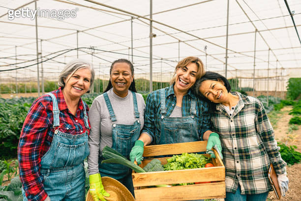 Happy multiracial women farmers working inside greenhouse - Farm people ...