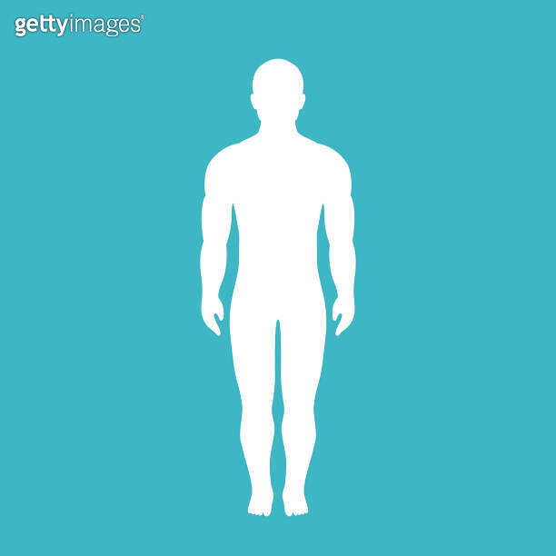 Full size human body vector silhouette 이미지 (1560234735) - 게티이미지뱅크