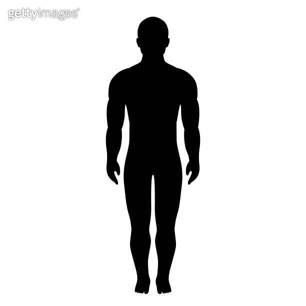 Human figure silhouette, full height body shape 이미지 (1596348762) - 게티이미지뱅크