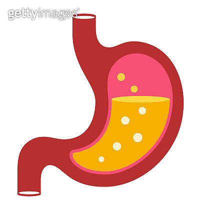 Human stomach cartoon, digestion process vector illustration 이미지 ...