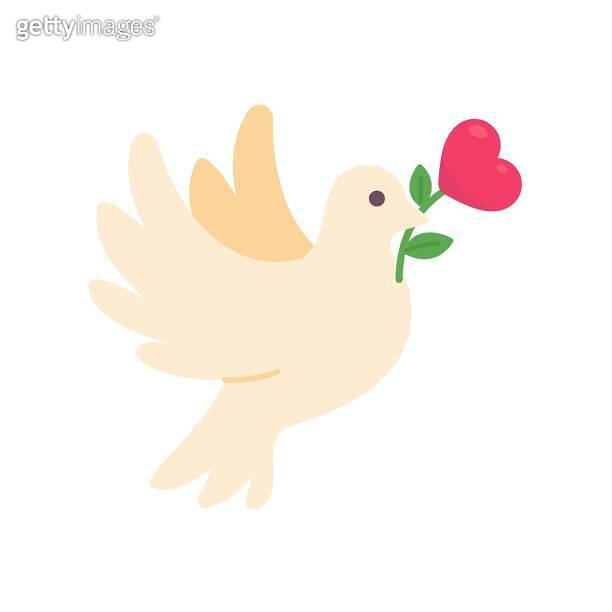 White dove holding a rose heart The concept of delivering pure love ...