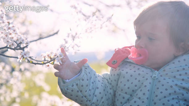 Gen Alpha baby girl becomes a nature lover. First steps. (1851417165 ...
