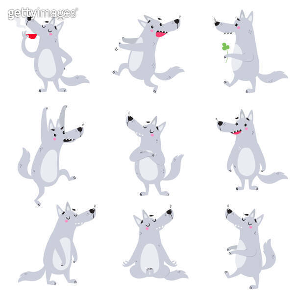 Grey Wolf Character with Pointed Muzzle Engaged in Different Activity ...