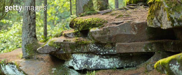 Large rock formation in a forest made up of several large, flat rocks ...