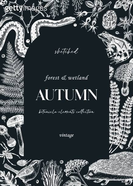 Autumn forest card design template 이미지 (1637816048) - 게티이미지뱅크