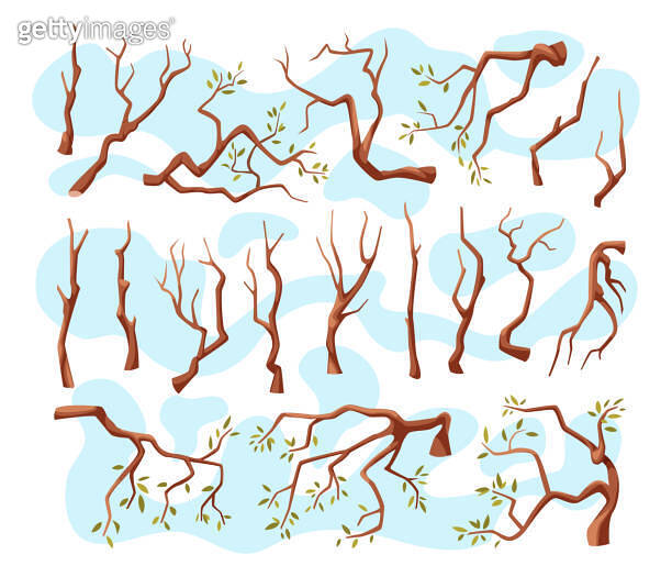Wooden branches. Different types and shapes of tree branches exact ...