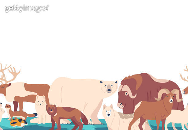 Arctic Animal Seamless Pattern. Polar Bear, Wolf And Fox, Lemming, Musk ...