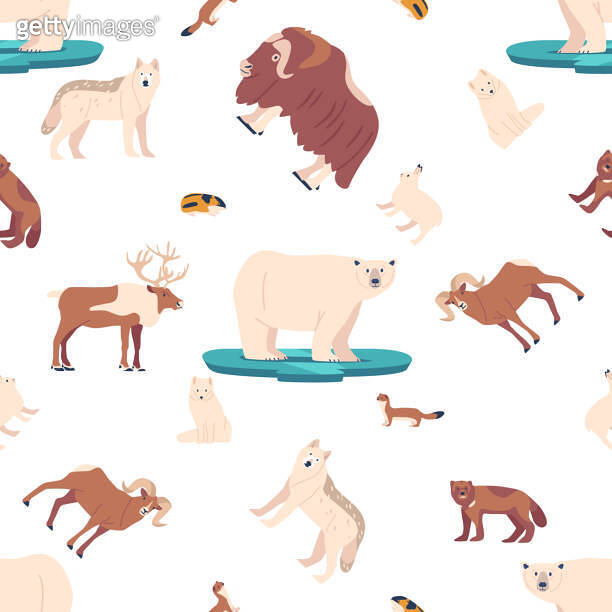 Arctic Animal Seamless Pattern. Polar Bear, Wolf And Fox, Lemming, Musk ...