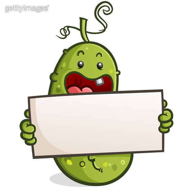 Adorable baby pickle cartoon mascot holding a blank poster board for an ...