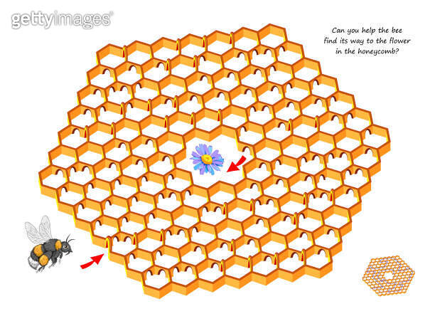 Best labyrinths. Can you help the bee find its way to the flower in the ...