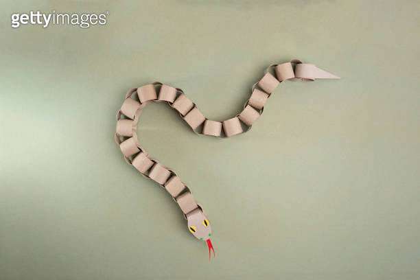 a snake made out of toilet paper rolls, craft made of recycle cardboard ...