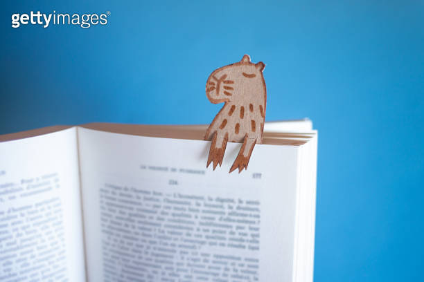 book with paper capybara bookmarks , soft focus, easy activity to do ...