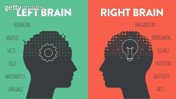 Left Brain vs. Right Brain Dominance infographic template. How the ...