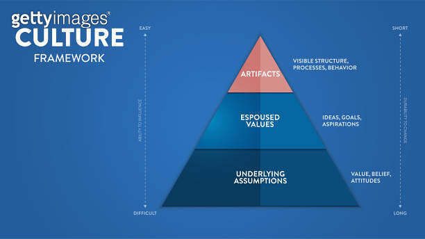 Culture framework pyramid model infographic template with icon vector ...