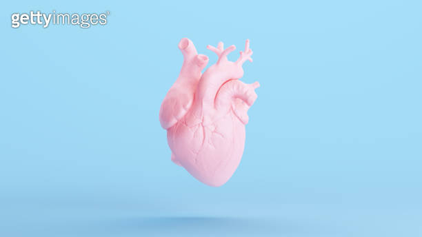 Pink Heart Anatomical Soft Selfcare Healing Kitsch Medical Organ Blue ...