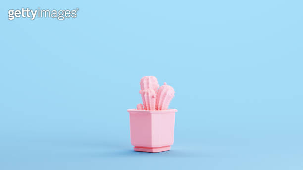 Small Pink Cactus Cacti Kitsch Office Desk Plant Pot Spiky Blue ...